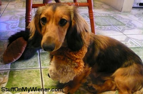 Stuff On My Wiener » Toys